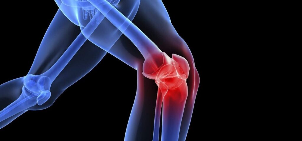 Professor Ali Ghoz - Professor Ali Ghoz